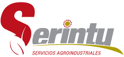 SERINTU S.A.